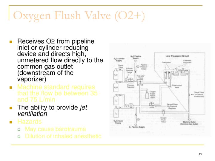 PPT - Introductory Lecture Series: The Anesthesia Machine PowerPoint ...