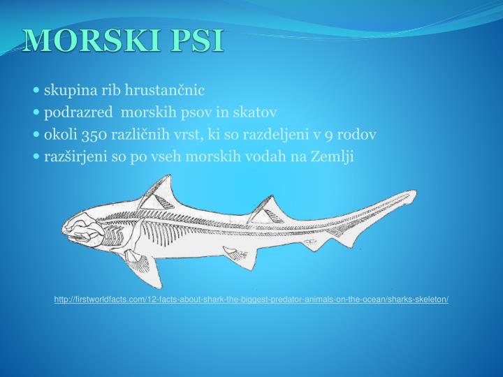 PPT - MORSKI PES PowerPoint Presentation - ID:4747078