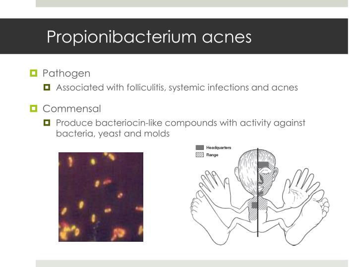 PPT - The Skin Microbiome Yoon K. Cohen, D.O. Hot Spots in Dermatology ...