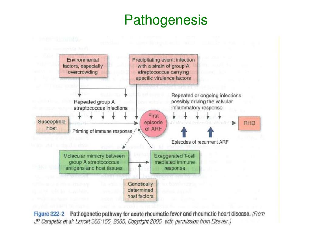 PPT - Acute Rheumatic Fever Dr. Toba kazemi, MD 2752-2757 Harrison 2012 ...