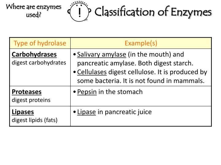 PPT - Enzymes PowerPoint Presentation - ID:4748539