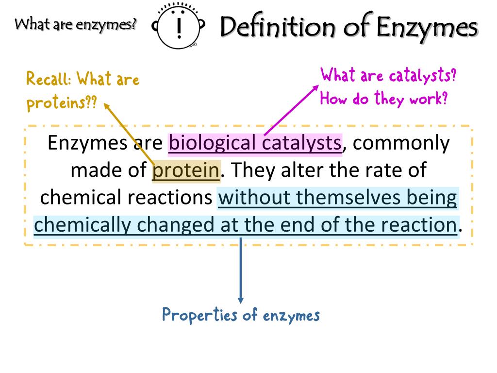Ppt Enzymes Powerpoint Presentation Free Download Id 4748539