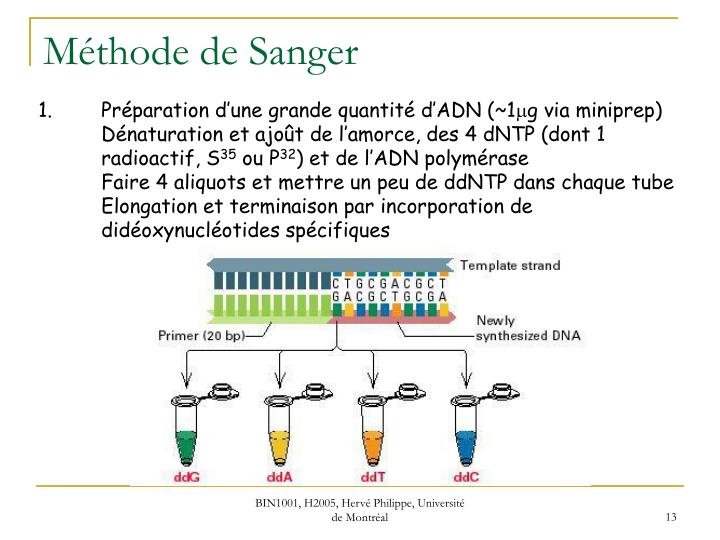 PPT - Méthodes de séquençage d’ADN PowerPoint Presentation - ID:4748782