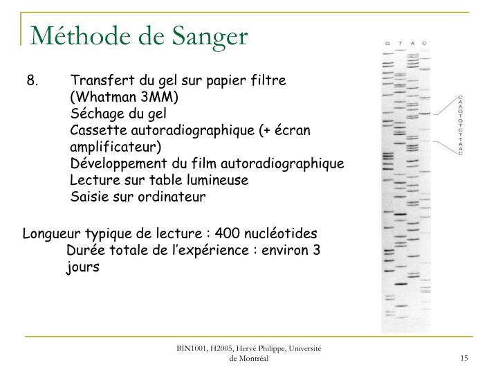 PPT - Méthodes de séquençage d’ADN PowerPoint Presentation - ID:4748782
