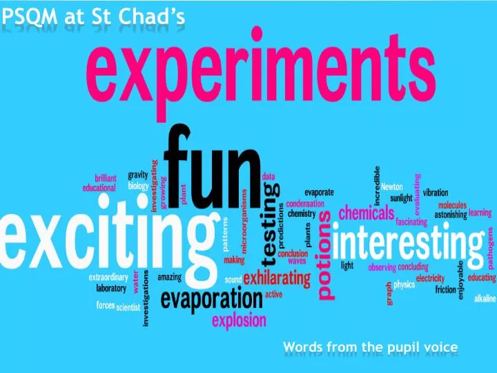 PPT - PSQM at St Chad’s PowerPoint Presentation, free download - ID:4749299