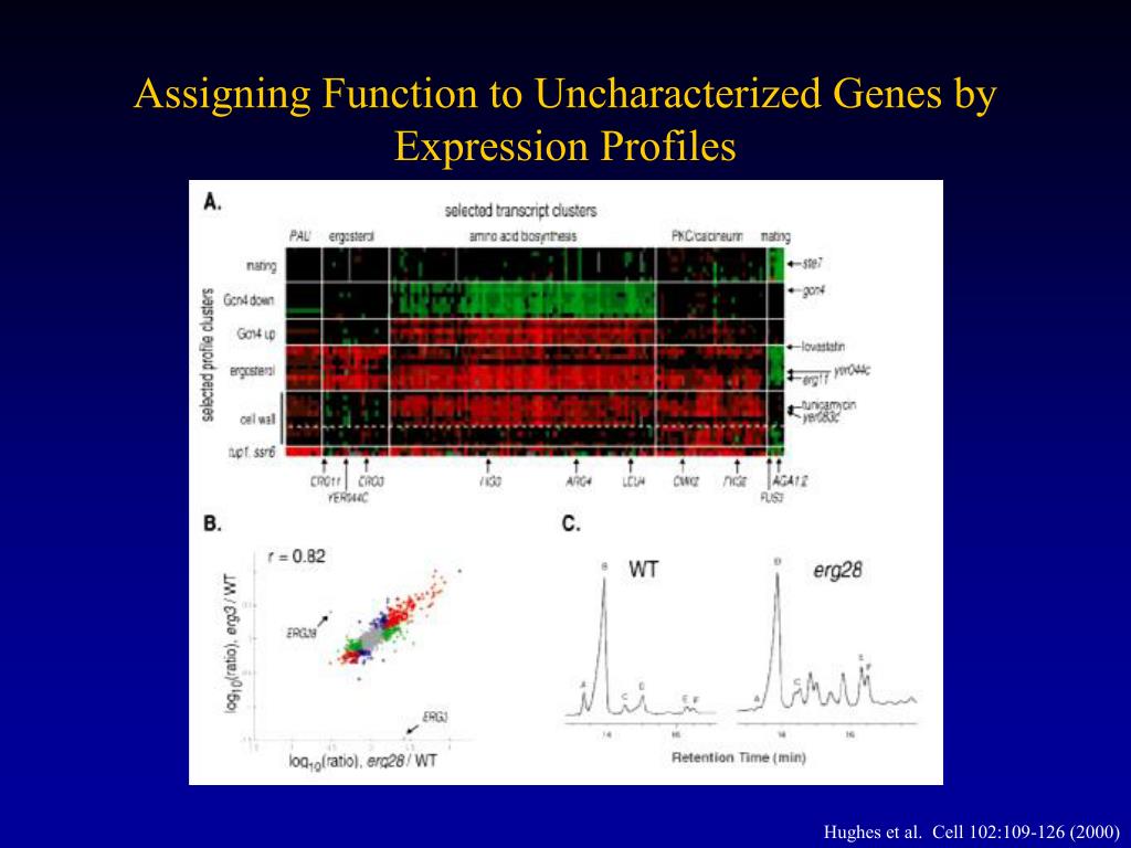 PPT - Introduction to DNA Microarrays: Functional Mining of Array Patterns PowerPoint ...