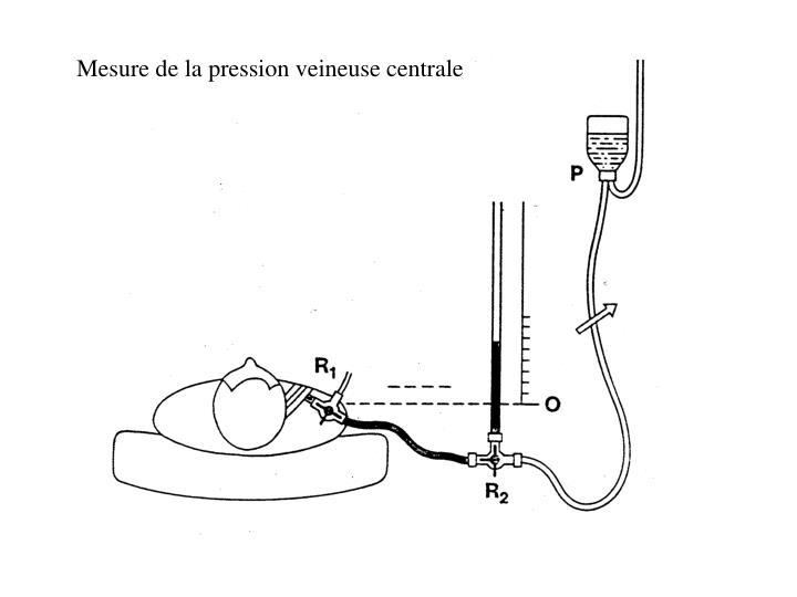 PPT - BIOPHYSIQUE DE LA CIRCULATION Mécanique des fluides Hémodynamique ...