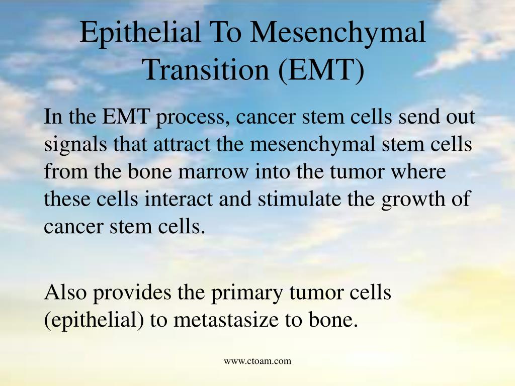 PPT - Understanding Cancer: Current Scientific Research on Causes ...