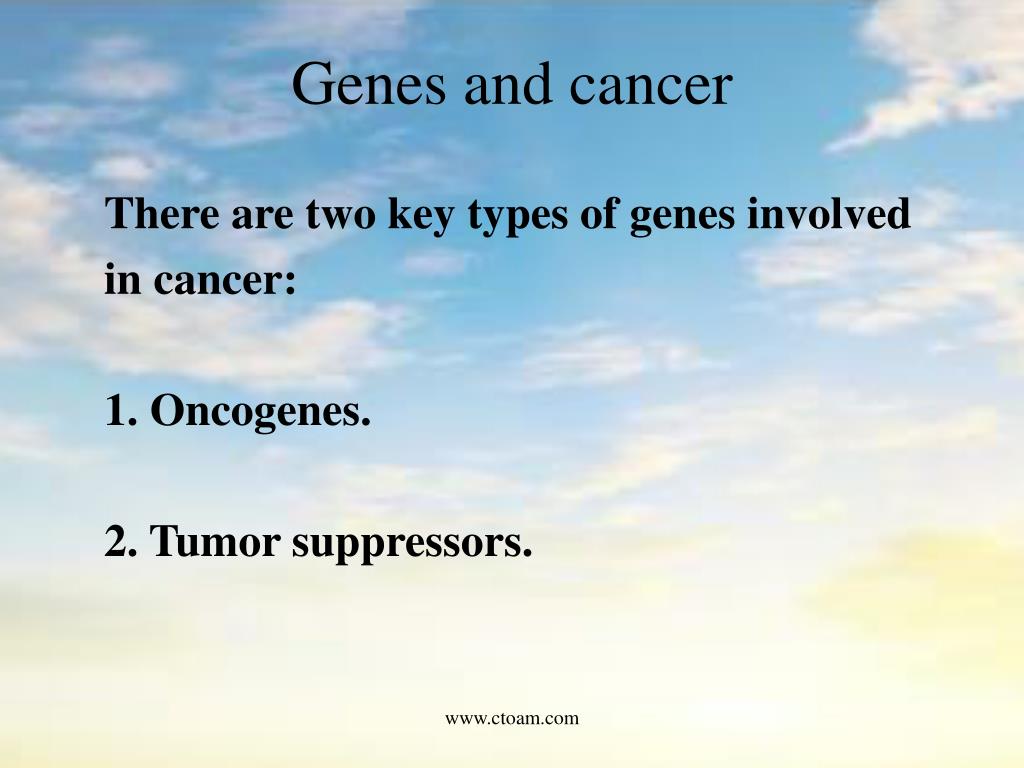 PPT - Understanding Cancer: Current Scientific Research on Causes ...