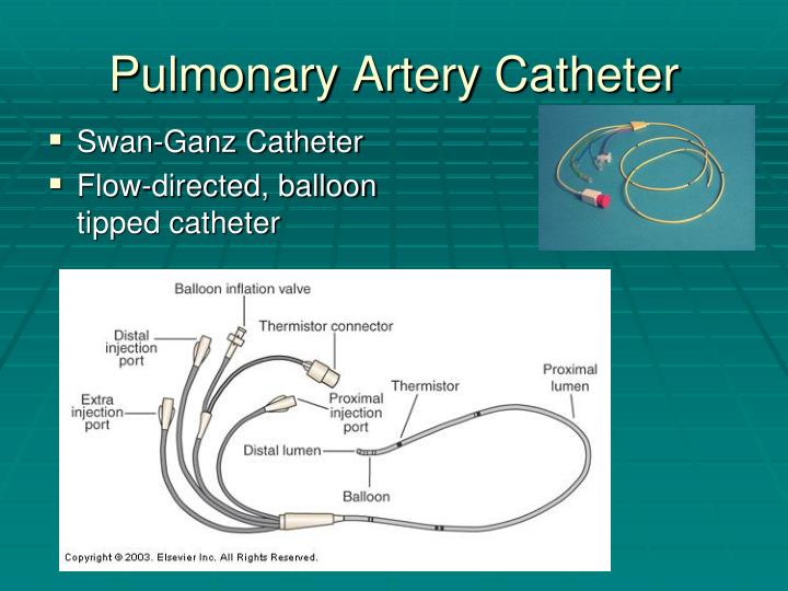 PPT - Hemodynamic Monitoring PowerPoint Presentation - ID:4750943