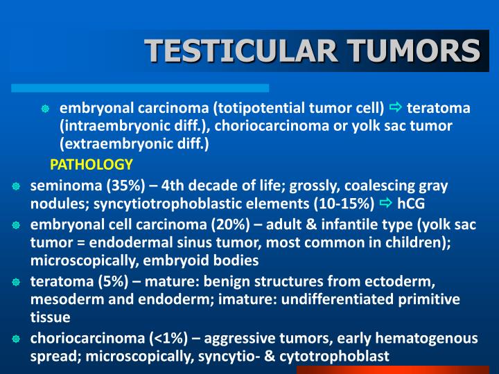 PPT - TESTICULAR TUMORS & DISORDERS OF EXTERNAL GENITALIA PowerPoint ...