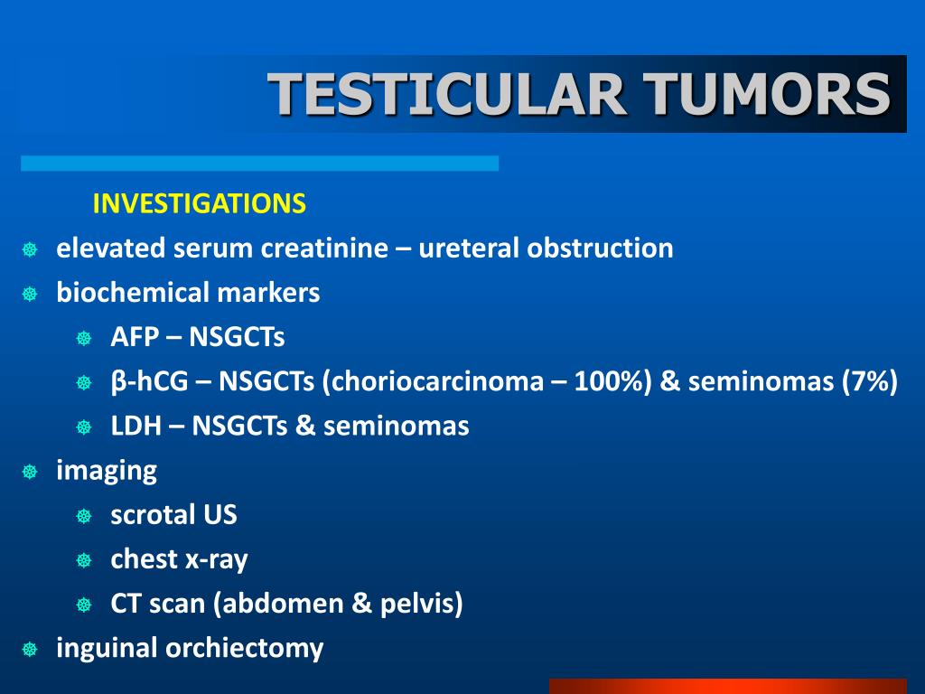 Ppt Testicular Tumors And Disorders Of External Genitalia Powerpoint