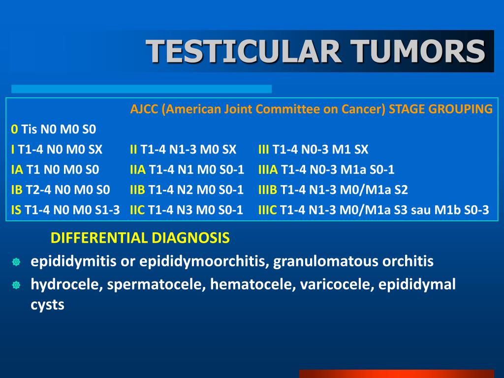 Ppt Testicular Tumors And Disorders Of External Genitalia Powerpoint