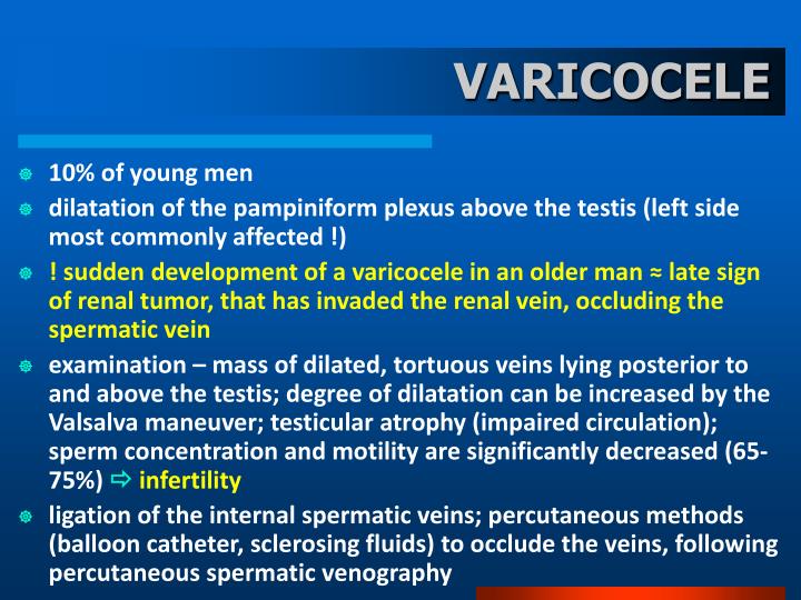 PPT - TESTICULAR TUMORS & DISORDERS OF EXTERNAL GENITALIA PowerPoint ...