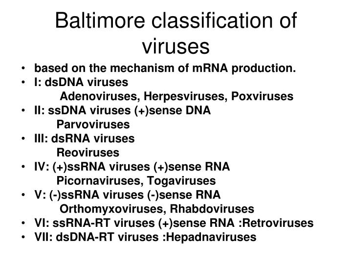 PPT - Virology 1 PowerPoint Presentation - ID:4751427