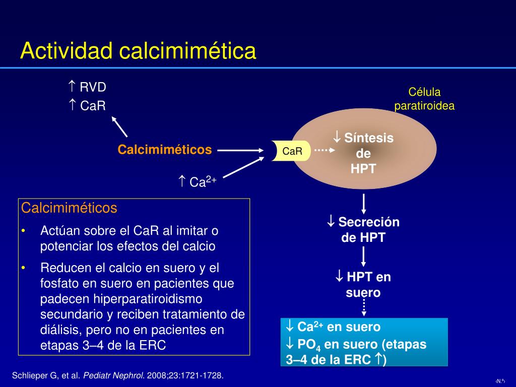PPT - Módulo 6: Calcimiméticos, paratiroidectomía y otras opciones ...