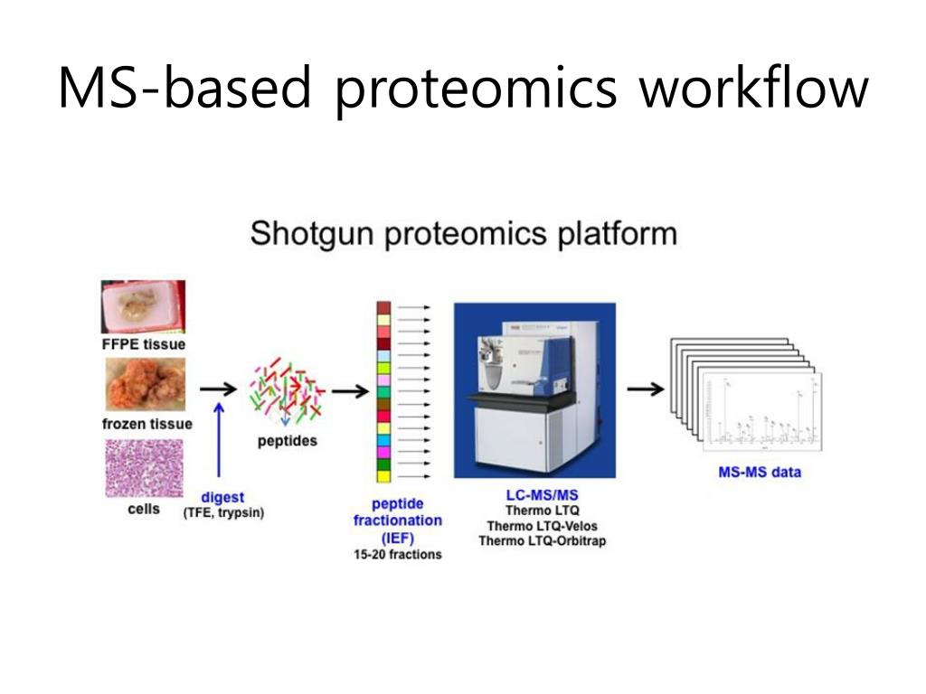 Ppt Proteomic Analysis Of Cellular Systems Powerpoint Presentation