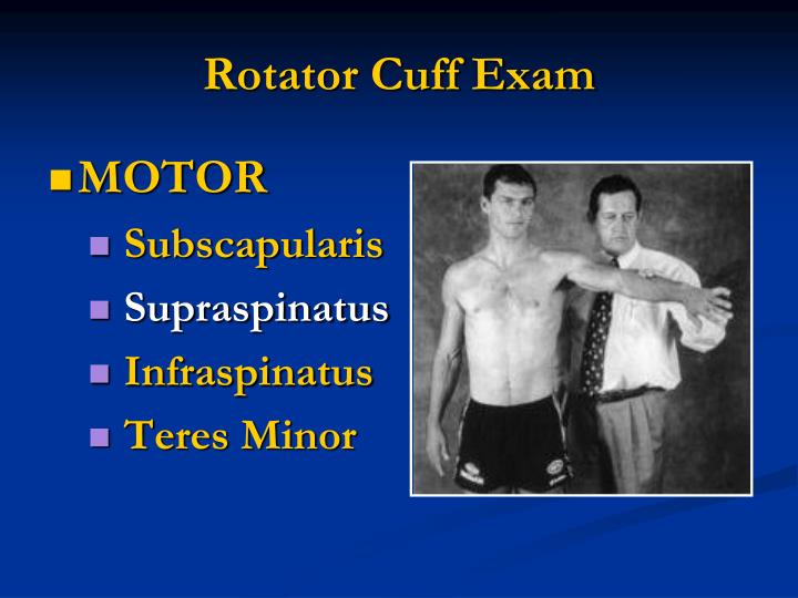 PPT - Shoulder 101 …and Then Some PowerPoint Presentation - ID:4752721