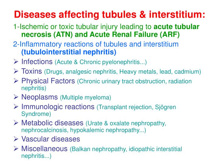 PPT - Tubulointerstitial Diseases of the Kidney PowerPoint Presentation ...