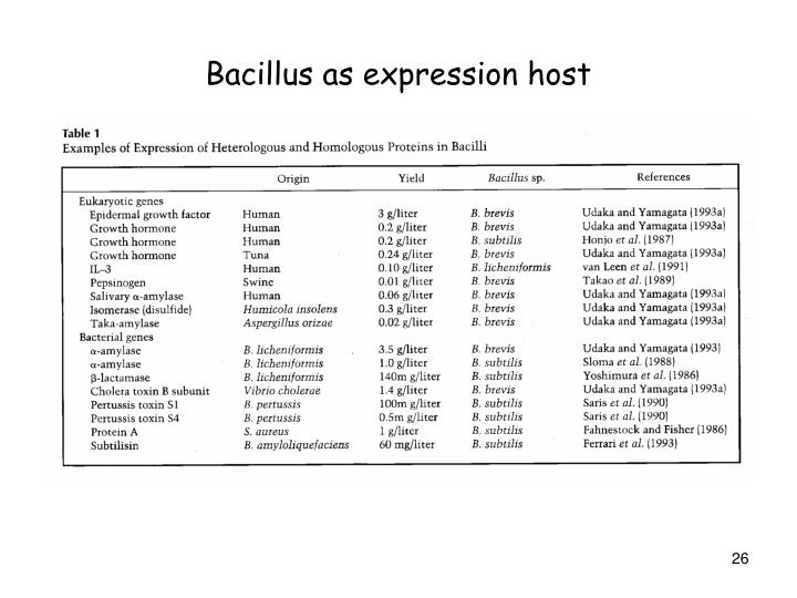 PPT - Gene Expression Systems in Prokaryotes and Eukaryotes PowerPoint ...