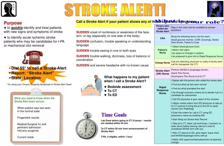 PPT - STROKE ALERT! PowerPoint Presentation, free download - ID:4753234