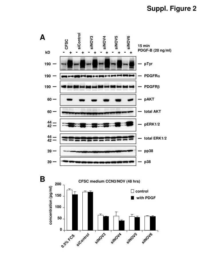 PPT - pTyr PowerPoint Presentation, free download - ID:4754115