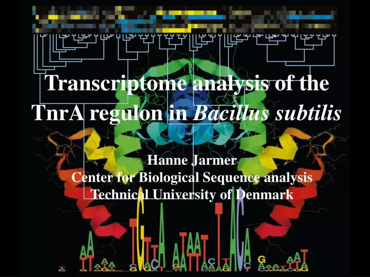 PPT - Transcriptome analysis of the TnrA regulon in Bacillus subtilis ...