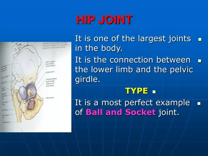 PPT - HIP JOINT PowerPoint Presentation, free download - ID:4754706