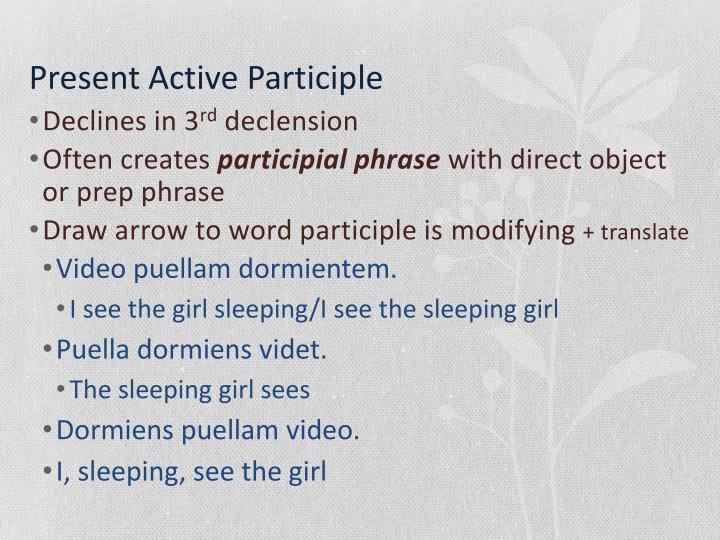 PPT - Participles PowerPoint Presentation - ID:4754993