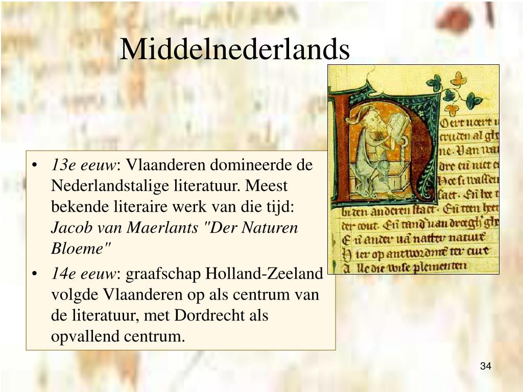 PPT - Diversiteit en Identiteit: De taalsituatie in de Nederlanden ...