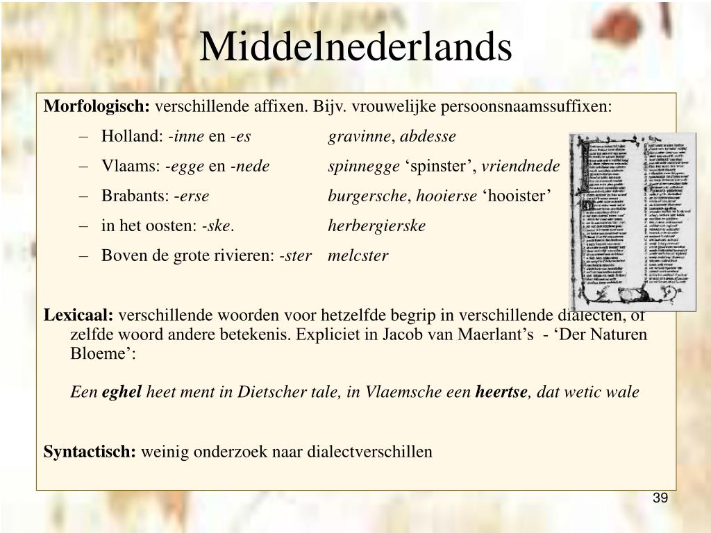 PPT - Diversiteit en Identiteit: De taalsituatie in de Nederlanden ...