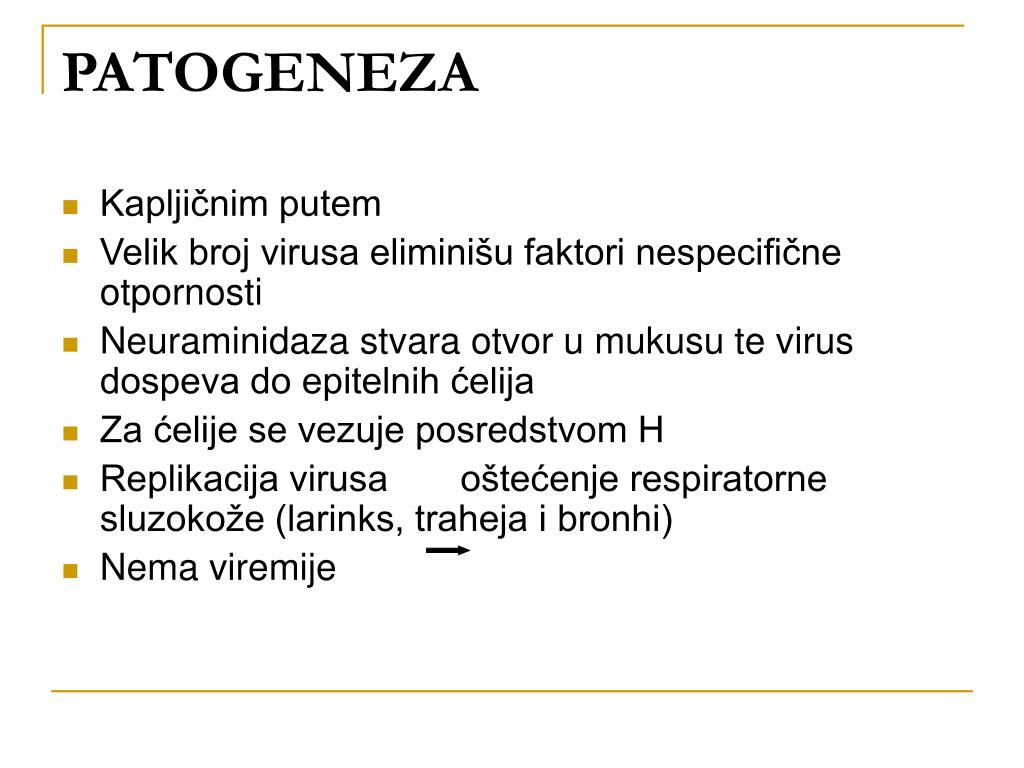 PPT - PORODICA ORTHOMYXOVIRIDAE PowerPoint Presentation, free download ...