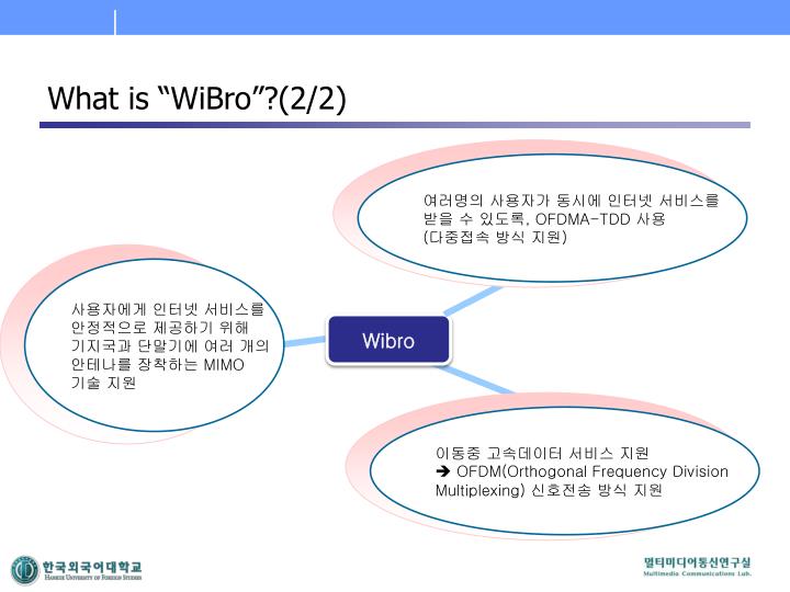 PPT - WiBro System PowerPoint Presentation - ID:4758360