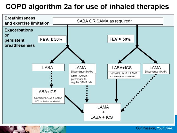 PPT - Ipswich and East CCG Asthma and COPD Guidelines PowerPoint ...