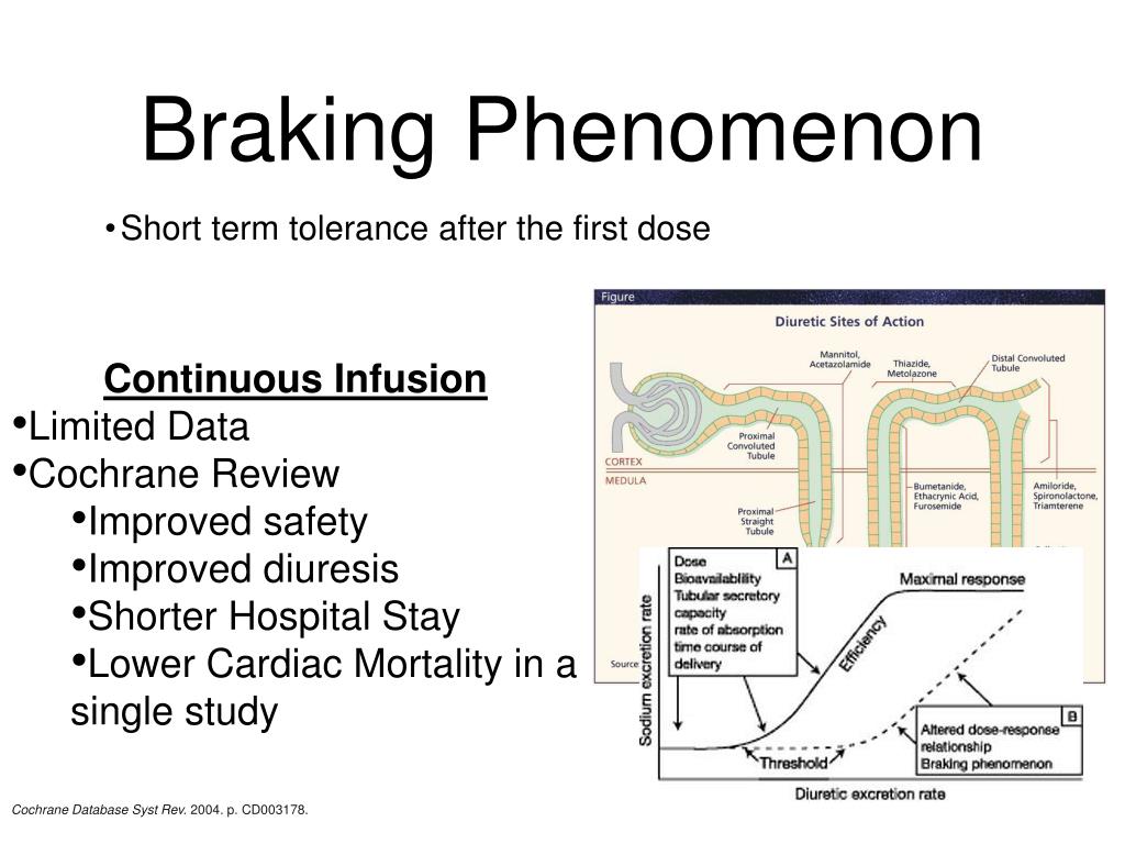 PPT - The Cardio-Renal Syndrome Stephen L. Rennyson MD PowerPoint ...