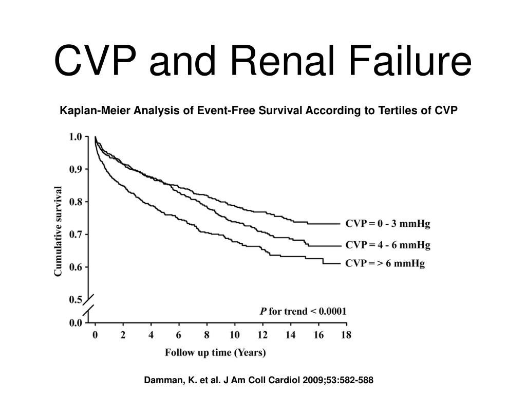 PPT - The Cardio-Renal Syndrome Stephen L. Rennyson MD PowerPoint ...