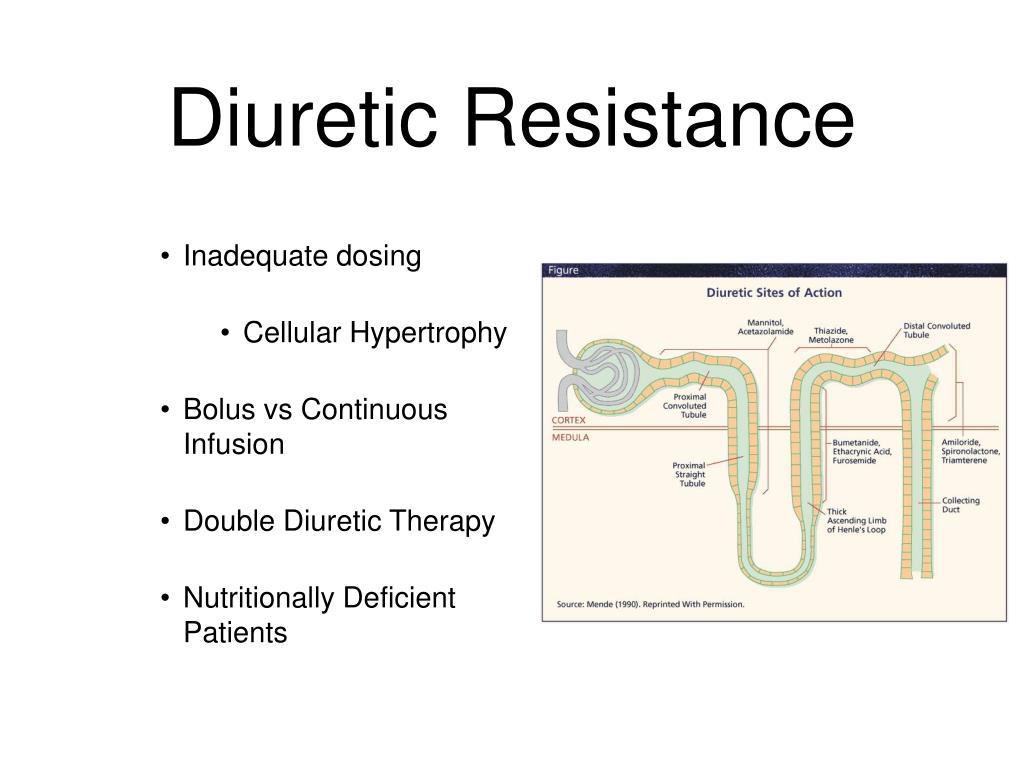 PPT - The Cardio-Renal Syndrome Stephen L. Rennyson MD PowerPoint ...