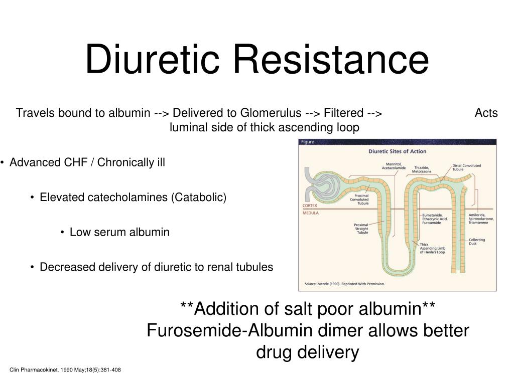 PPT - The Cardio-Renal Syndrome Stephen L. Rennyson MD PowerPoint ...