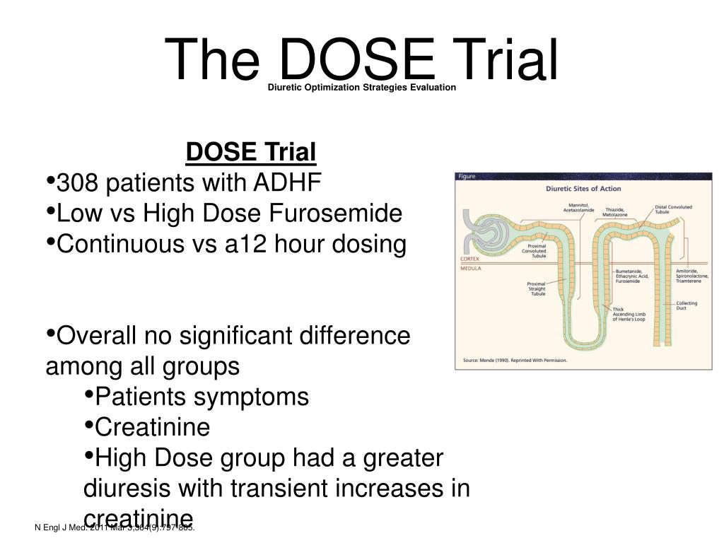 PPT - The Cardio-Renal Syndrome Stephen L. Rennyson MD PowerPoint ...