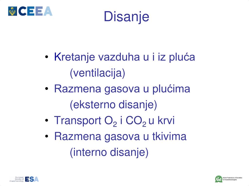 PPT - Kurs 1 : Respiratorni sistem i anestezija Fiziologija ventilacije ...