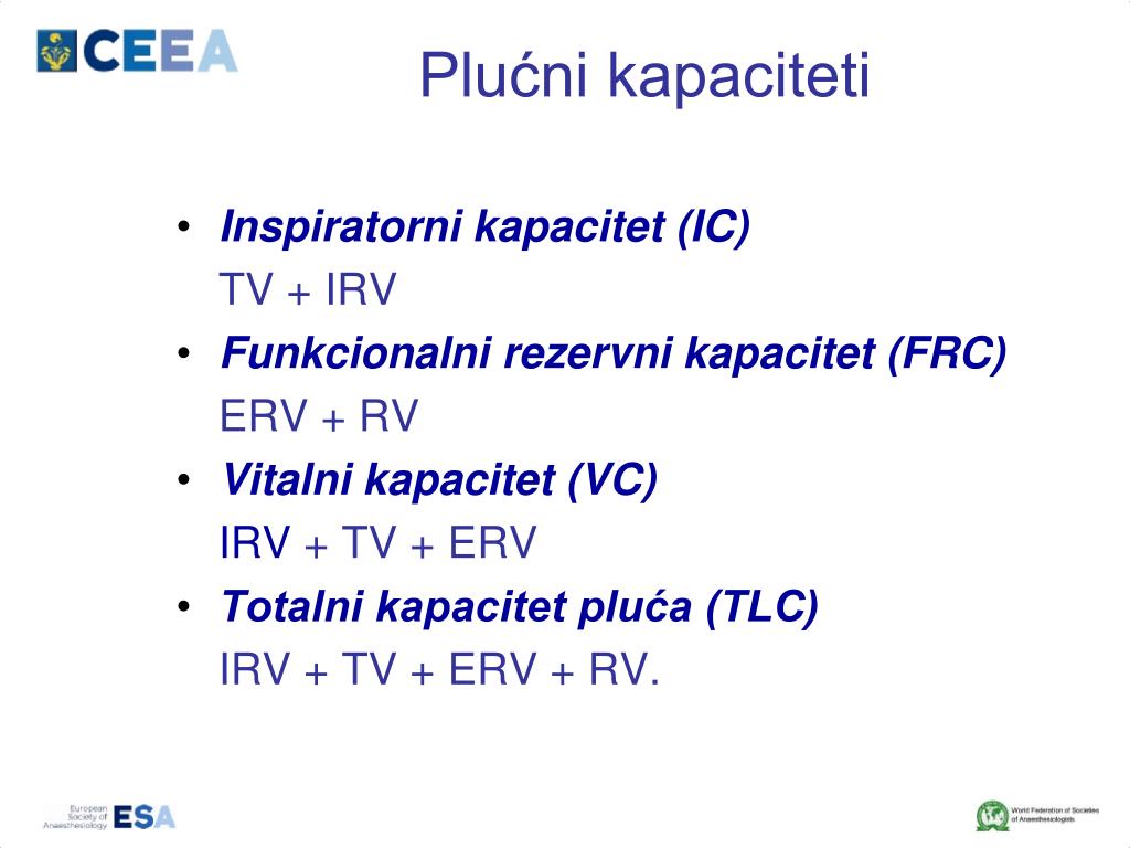 PPT - Kurs 1 : Respiratorni sistem i anestezija Fiziologija ventilacije ...