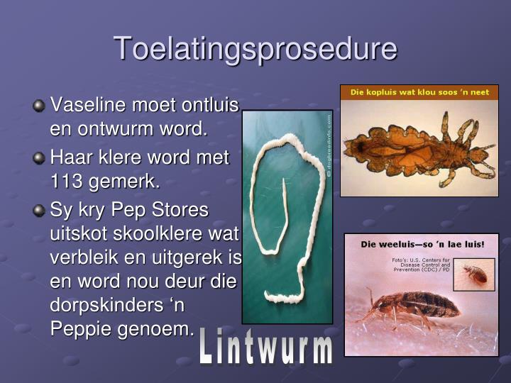 PPT - Vaselinetjie Anuscka von Meck PowerPoint Presentation - ID:4760468