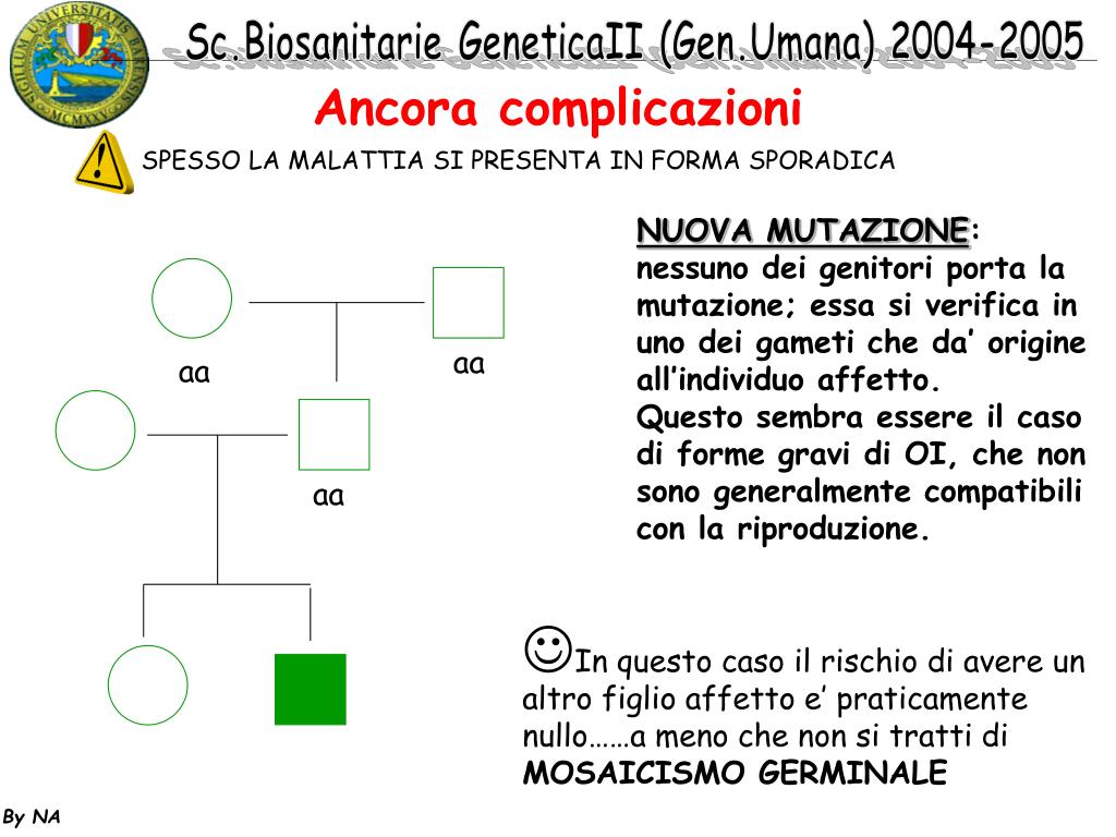 PPT - MUTAZIONI NEI GENI STRUTTURALI I: il connettivo PowerPoint ...