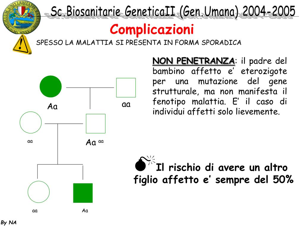 PPT - MUTAZIONI NEI GENI STRUTTURALI I: il connettivo PowerPoint ...