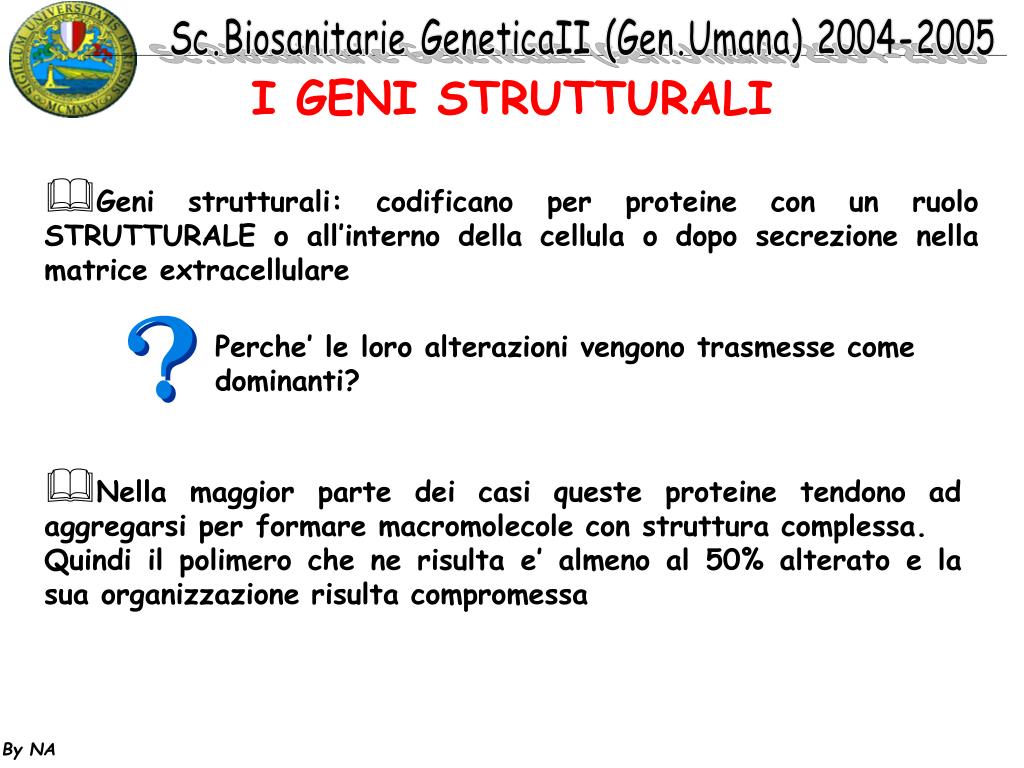 PPT - MUTAZIONI NEI GENI STRUTTURALI I: il connettivo PowerPoint ...
