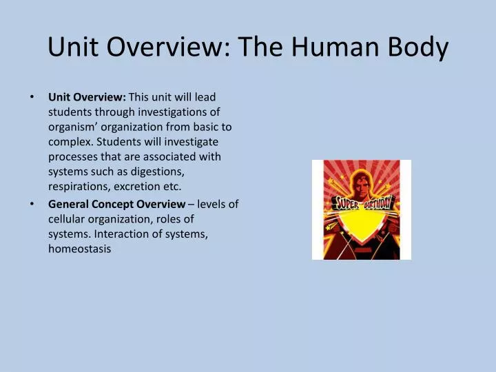 PPT - Unit Overview: The Human Body PowerPoint Presentation, free ...