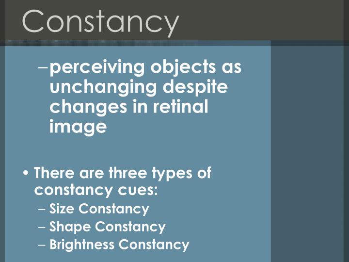 PPT - PERCEPTION! PowerPoint Presentation - ID:4762234