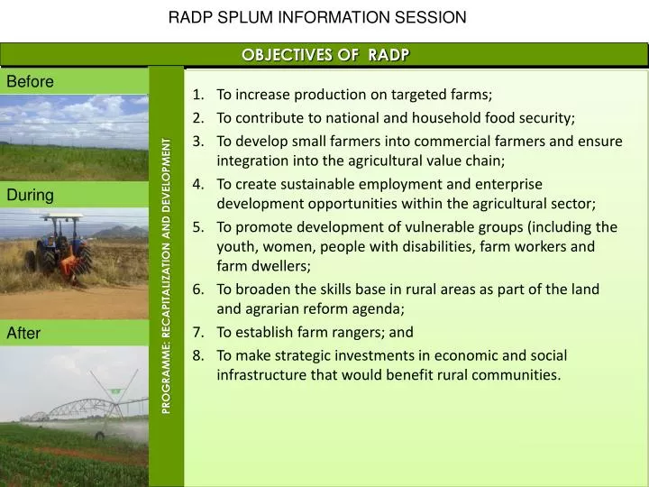 PPT - RADP SPLUM INFORMATION SESSION PowerPoint Presentation, free ...