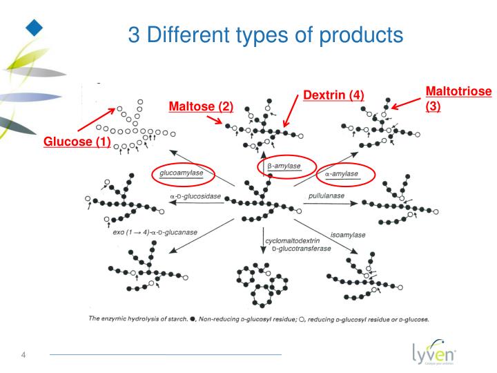 PPT - LYVEN RANGE OF AMYLASE AMYLYVE PowerPoint Presentation - ID:4762641