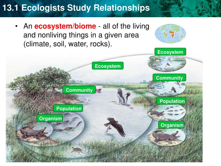 PPT - Ecology - study of the interactions between living things and ...